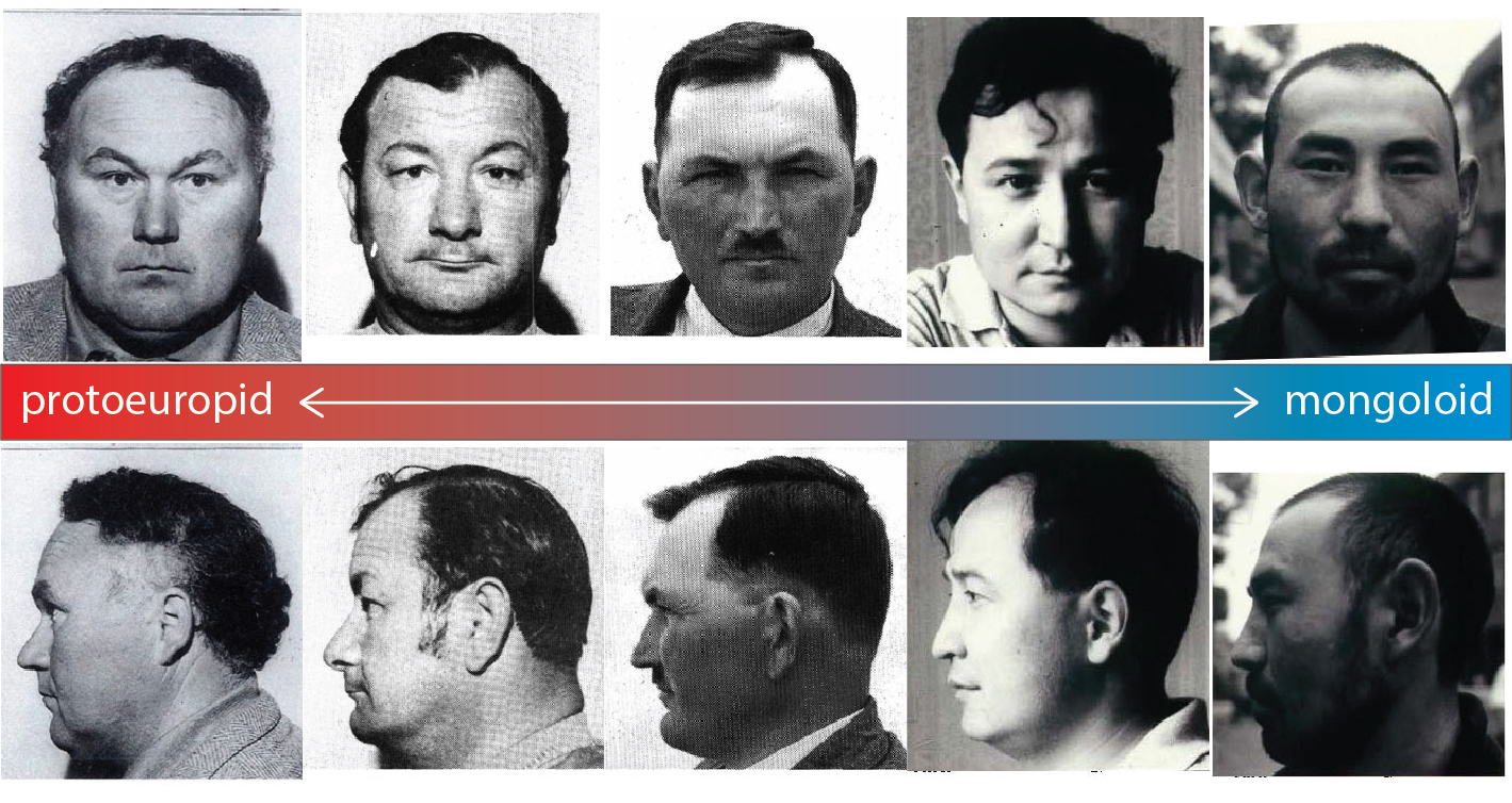 Classify true Mongoloid Hungarian look - Page 3